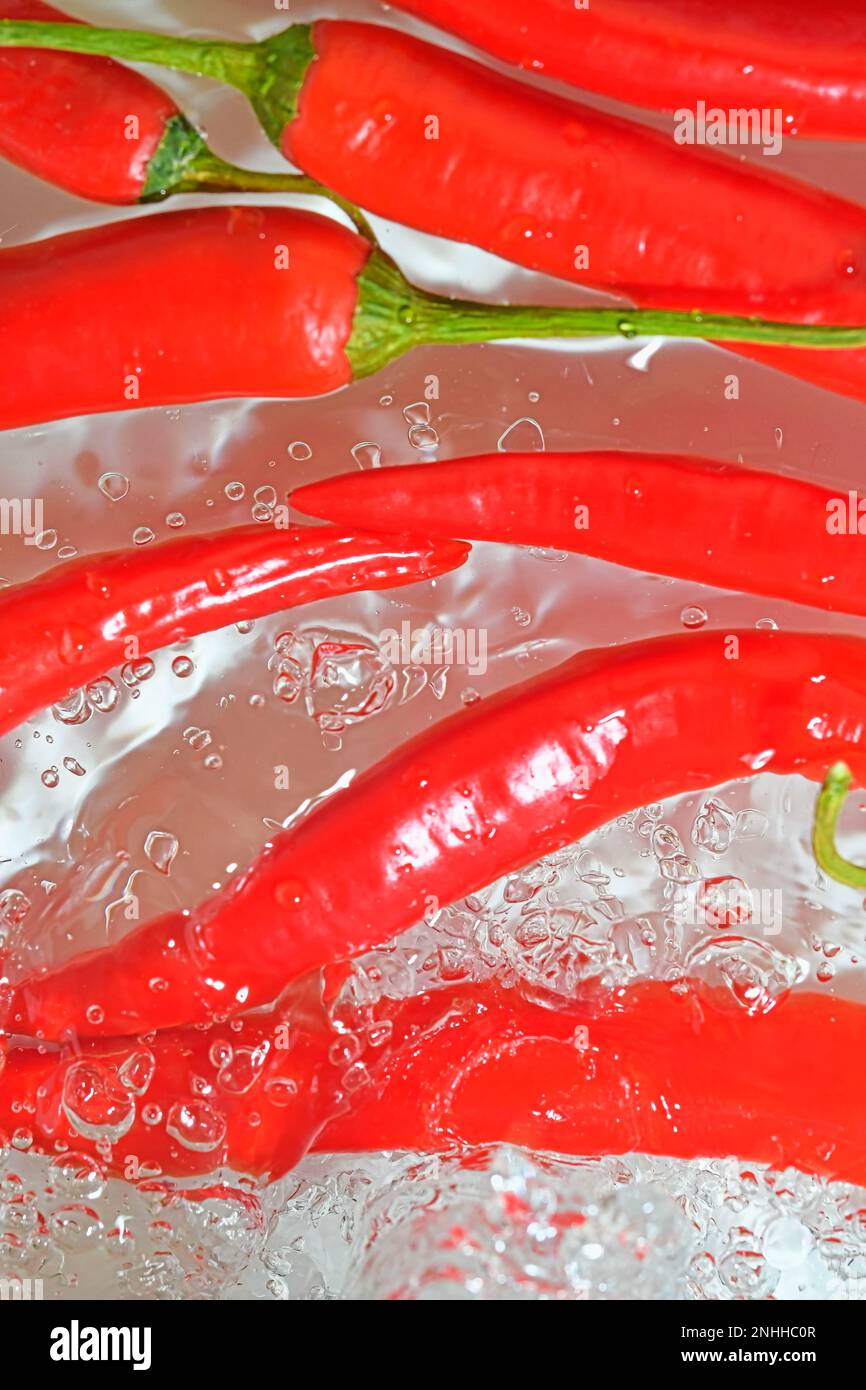 Red chilli peppers close-up in liquid with bubbles. Slices of red ...