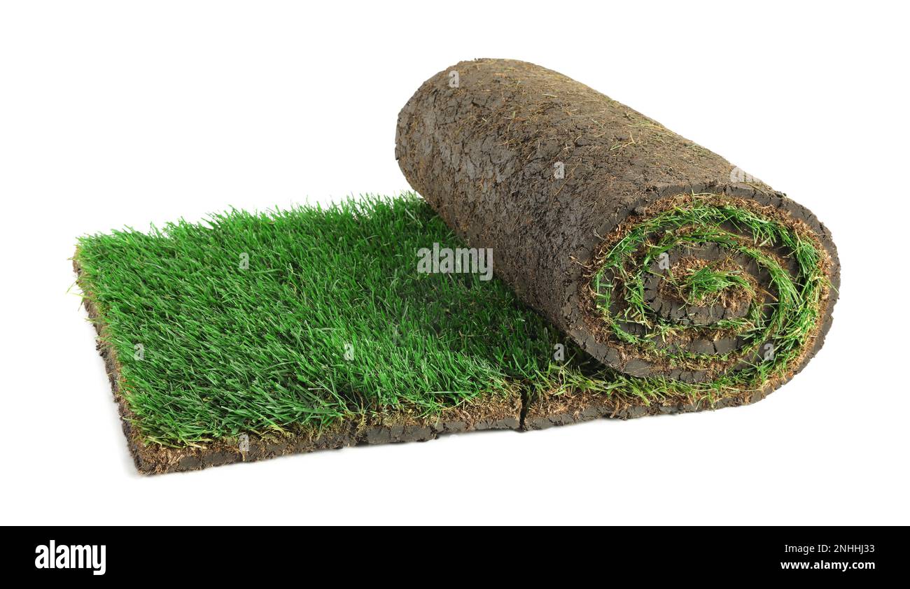 Rolled sod with grass on white background Stock Photo - Alamy