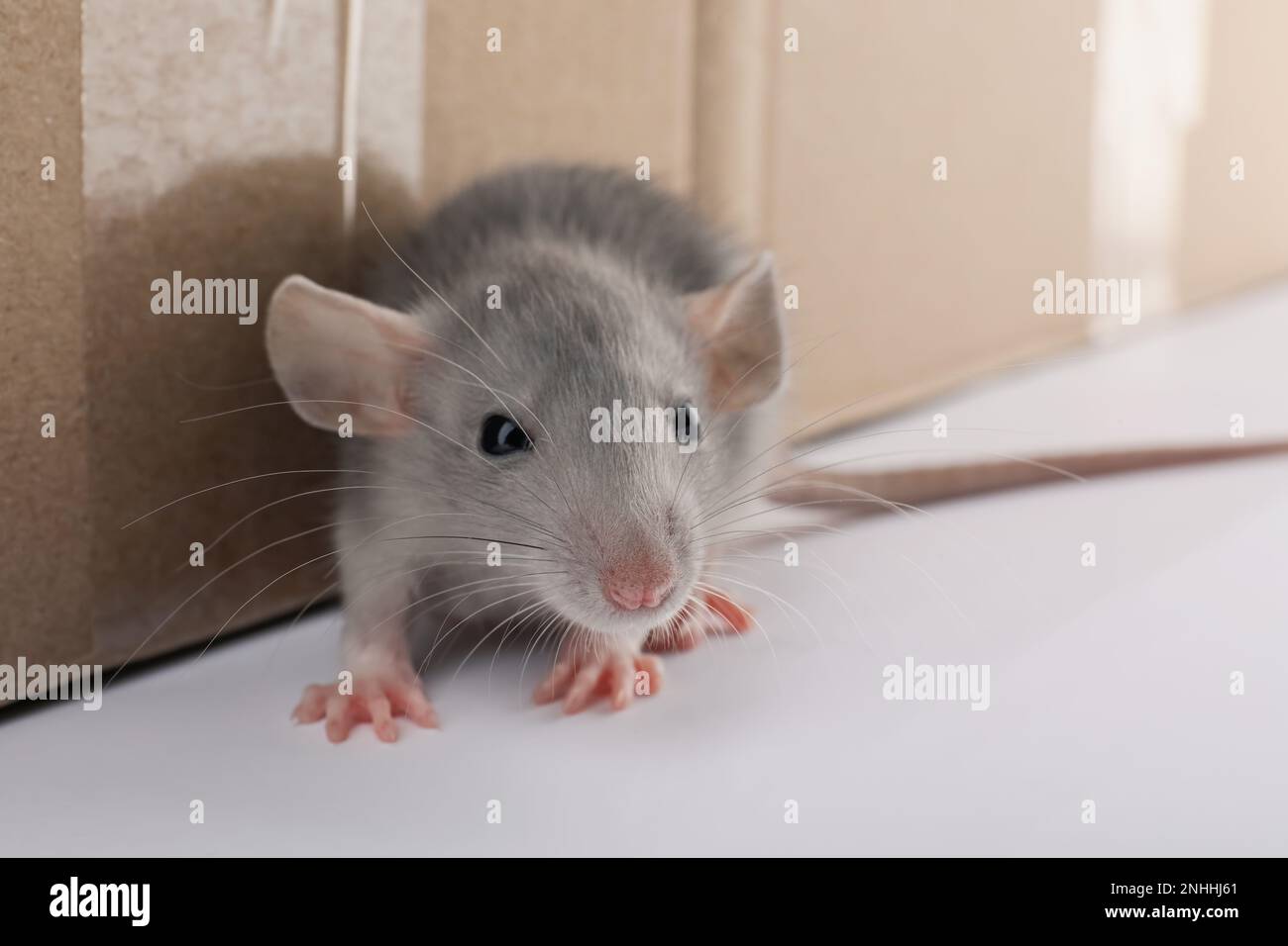 Grey control box hi-res stock photography and images - Alamy