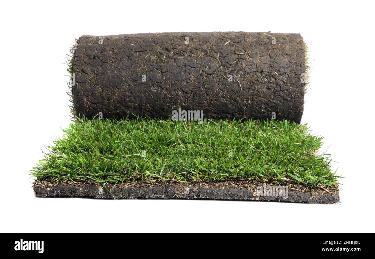 Rolled sod with grass on white background Stock Photo - Alamy