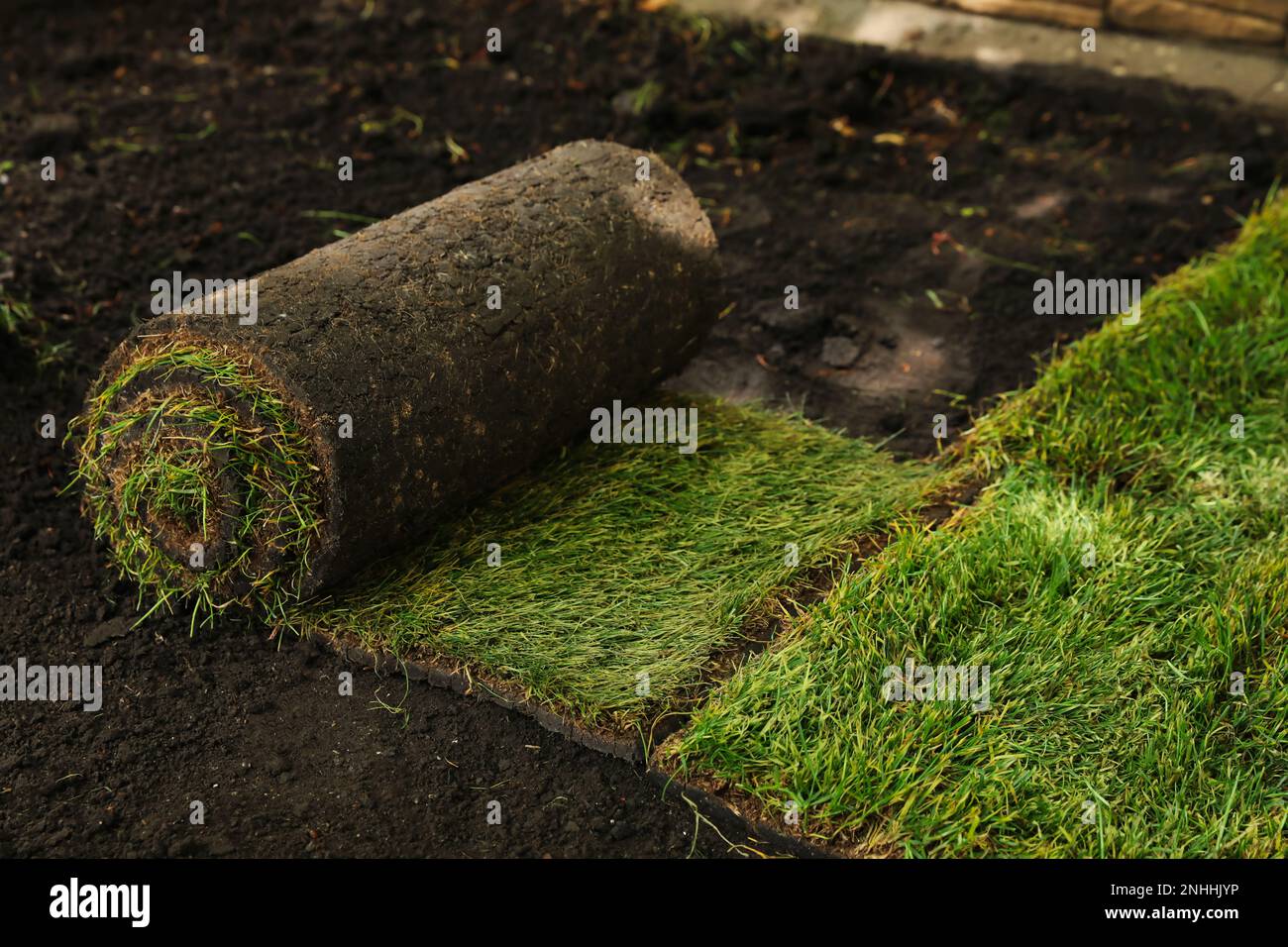 Rolled grass sod on ground in garden Stock Photo - Alamy