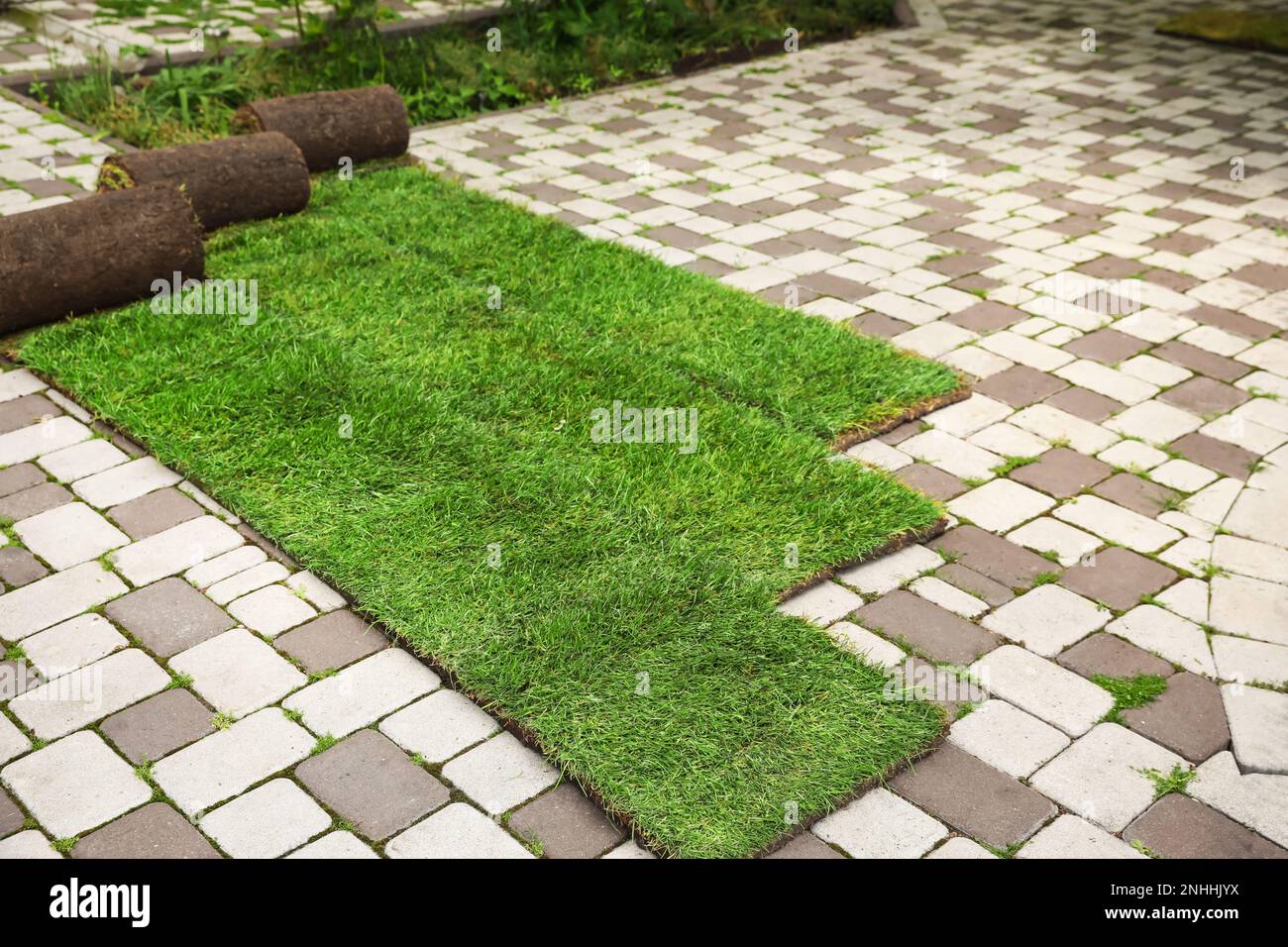 Rolled sods hi-res stock photography and images - Alamy