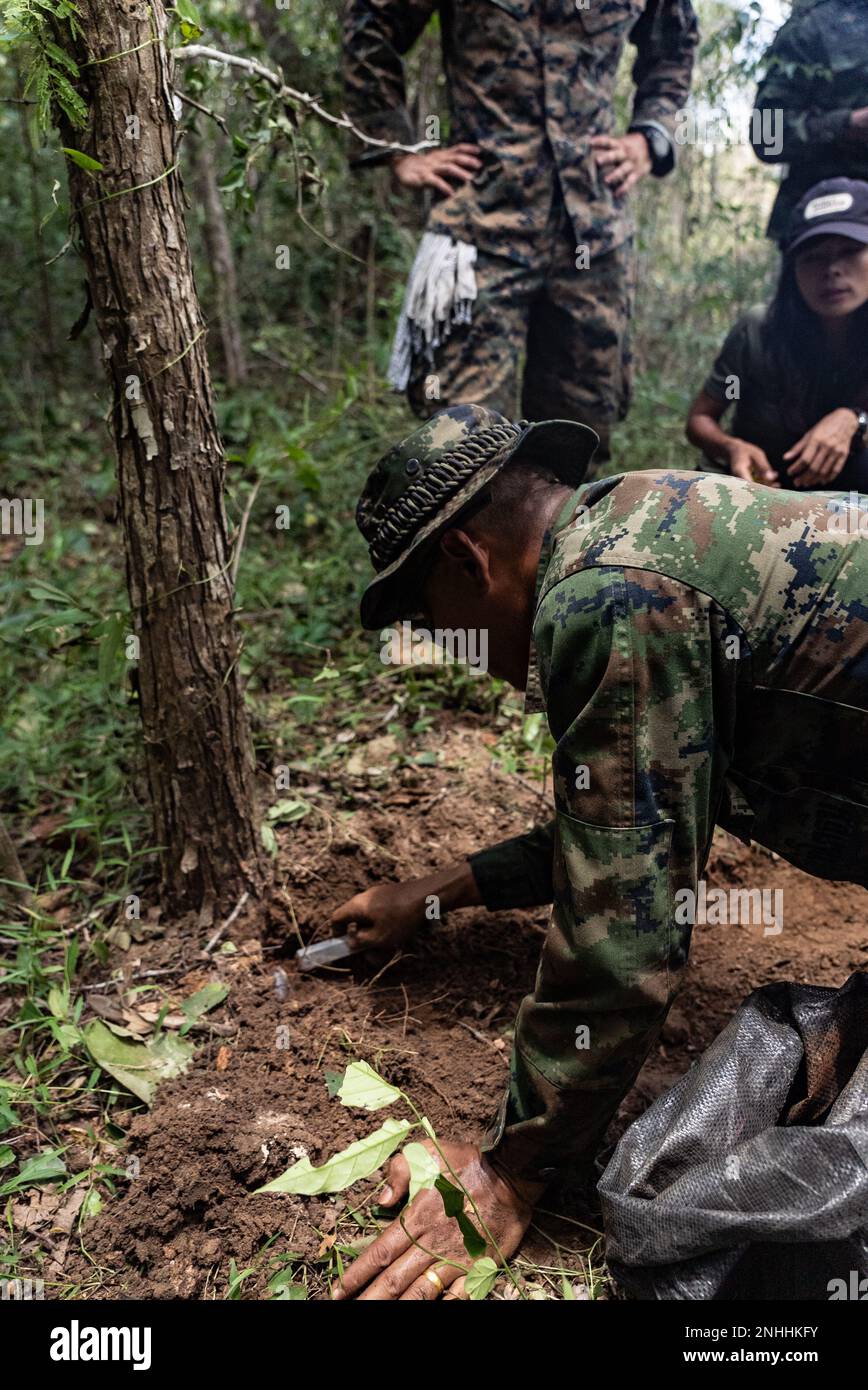 Royal Thai Armed Forces PO1 Weerawat Suwannakorn, a Thailand Mine ...