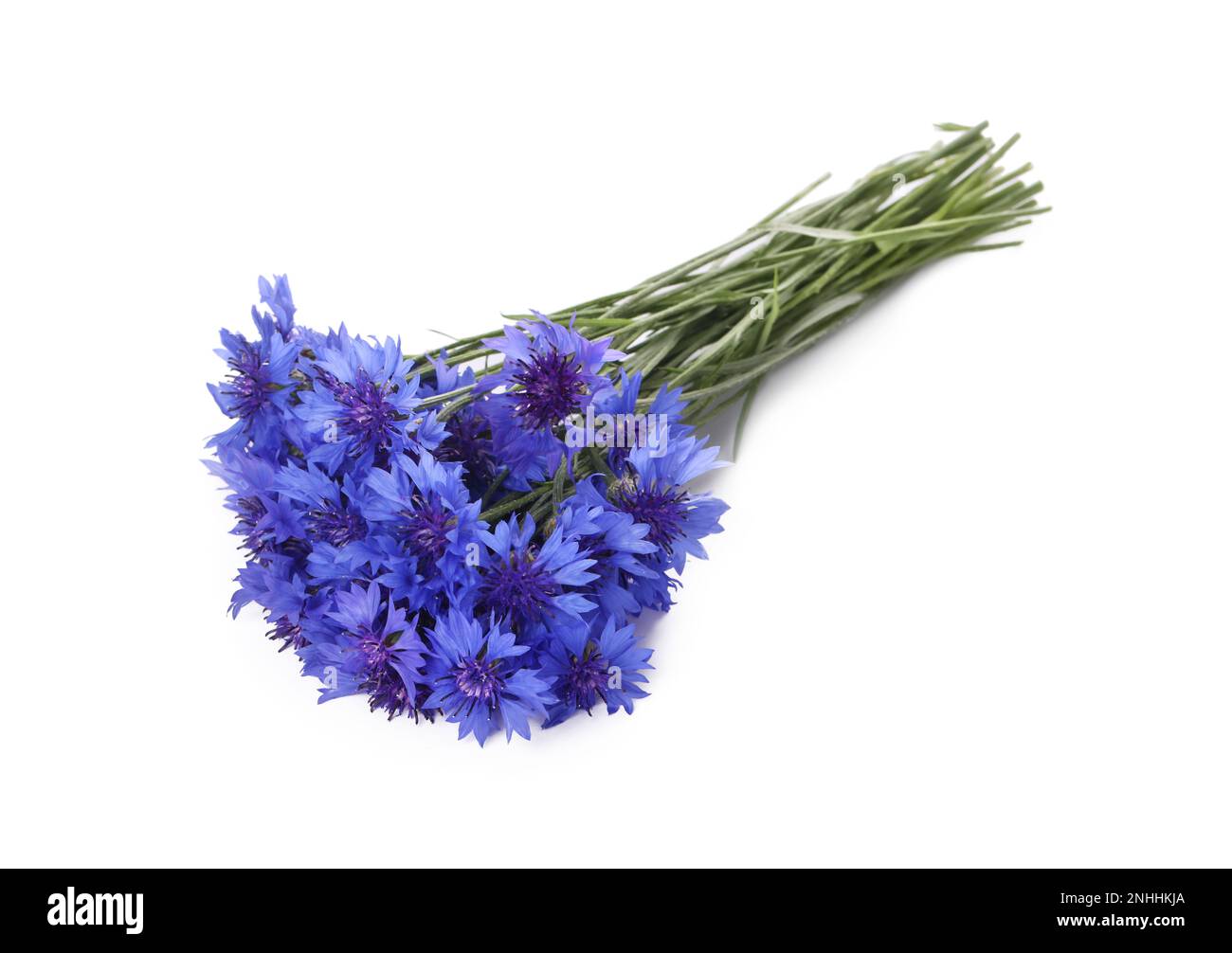 Beautiful bouquet of cornflowers isolated on white Stock Photo - Alamy