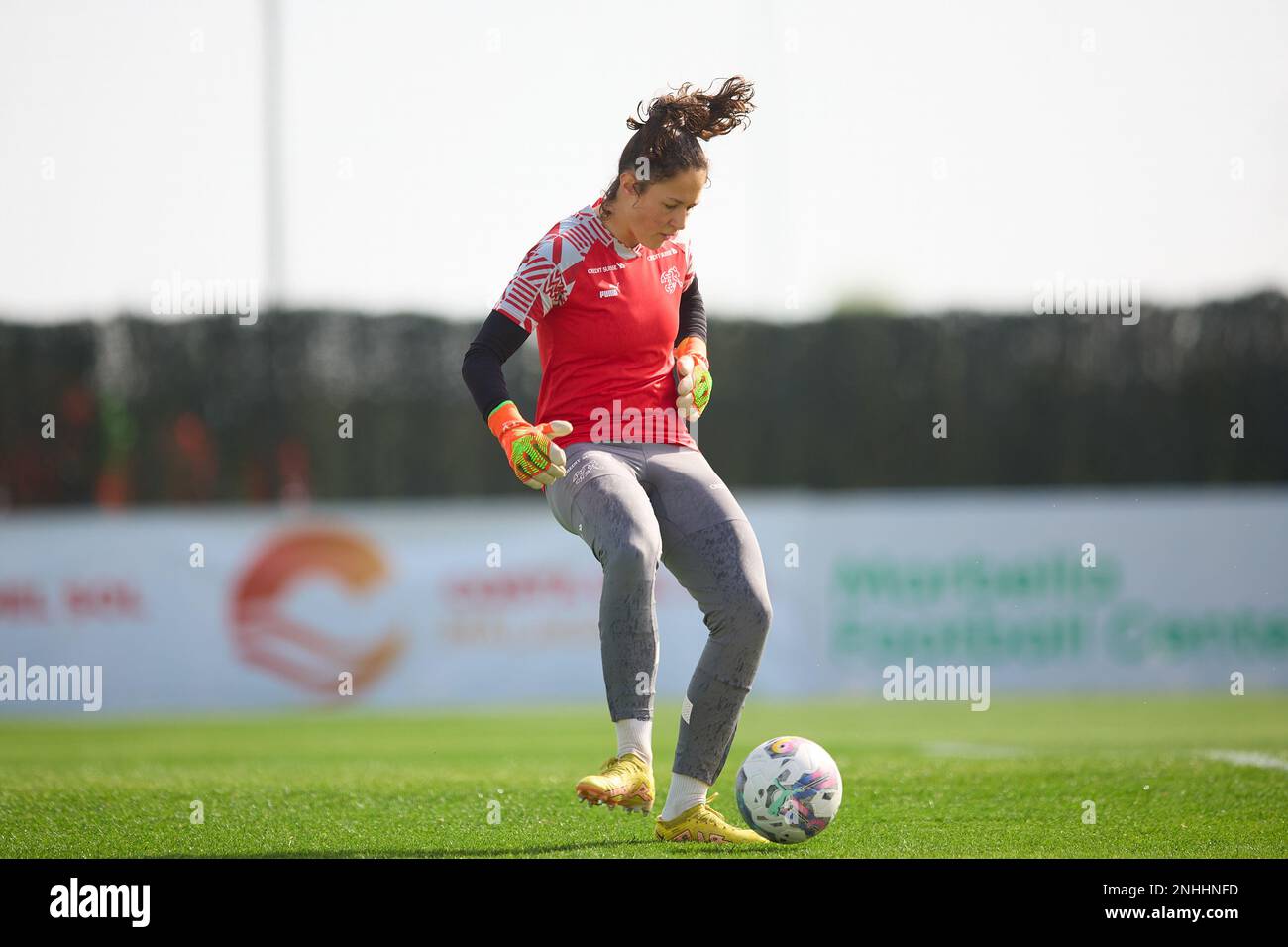 Livia peng hi-res stock photography and images - Alamy