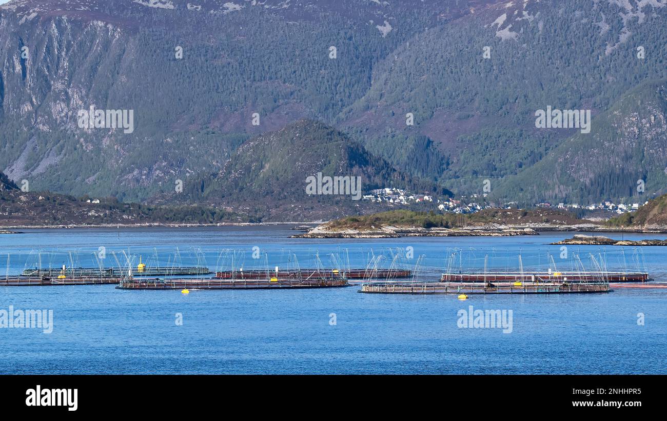 View of a salmon farm on Vega Island, one of about 6,500 islands and ...