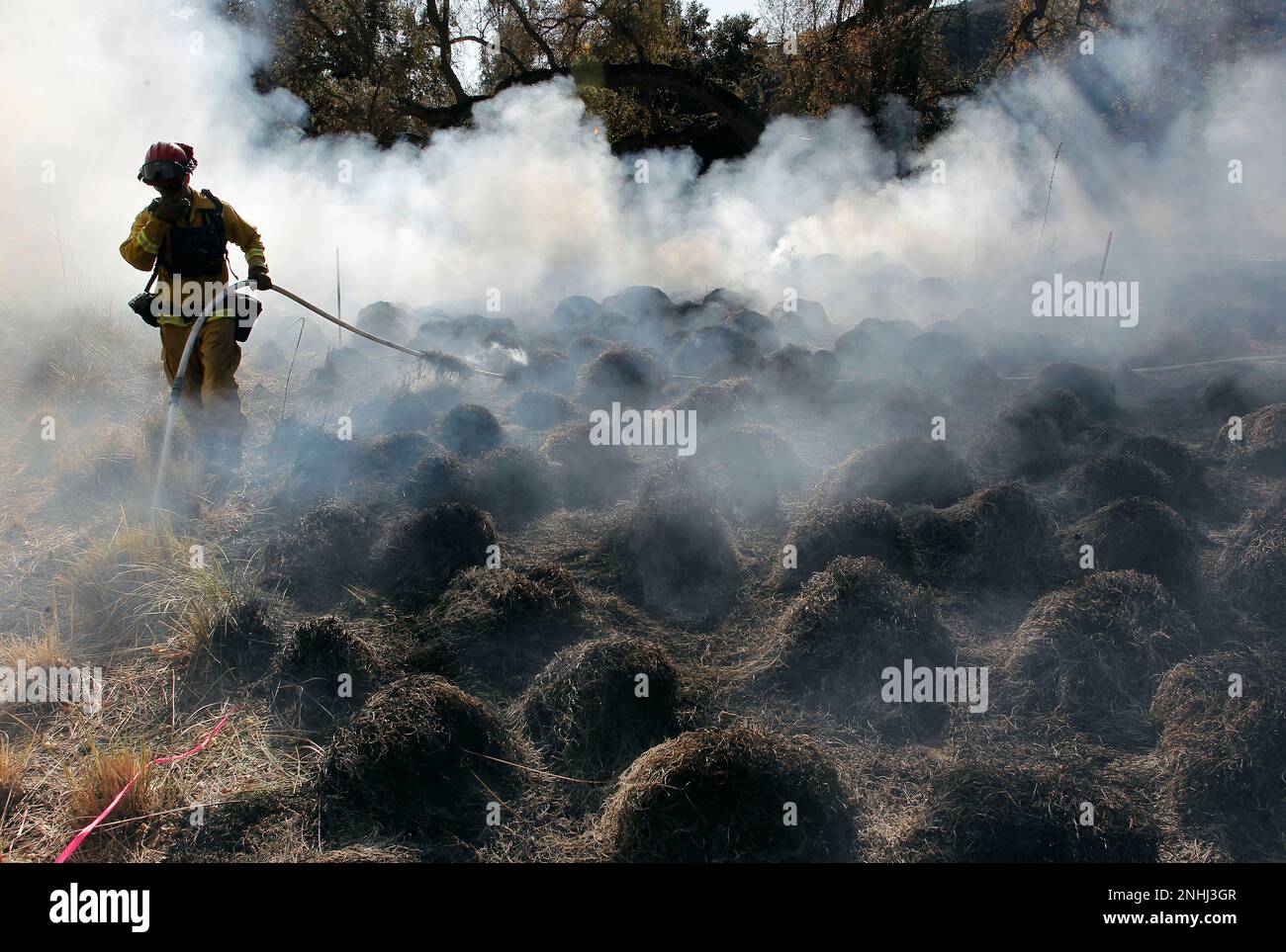 Firefighter Gabe Huck, puts out hot-spots on the burning deer grass, as ...
