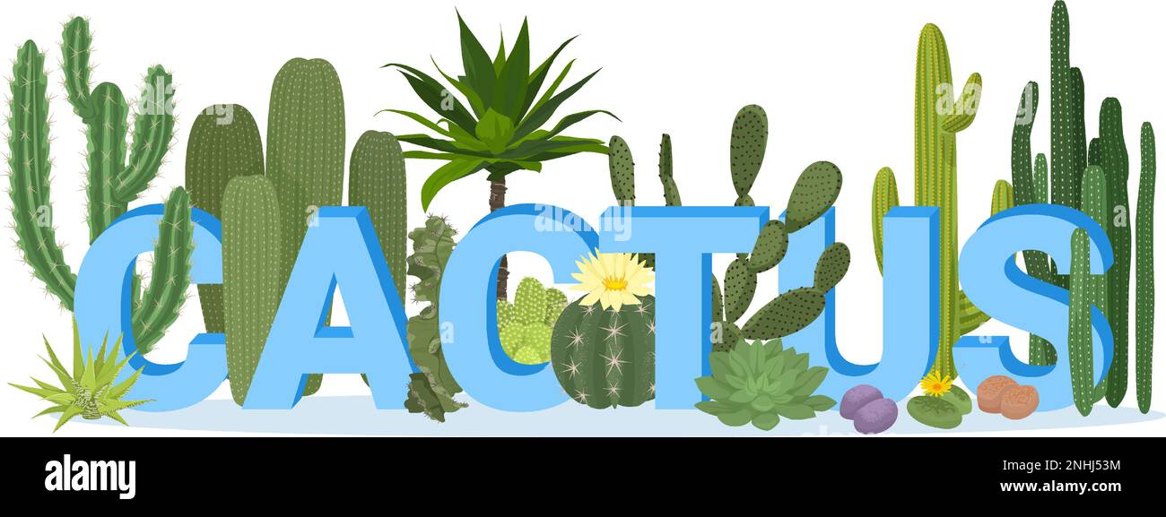 Cactuses flat colored composition with green cactuses and big light ...