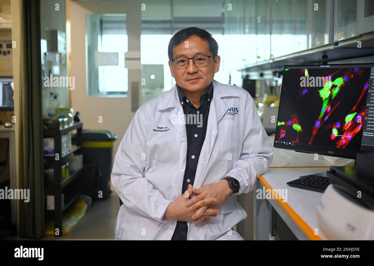 Associate Professor Too Heng-Phon, a biochemist, photographed on 14 ...