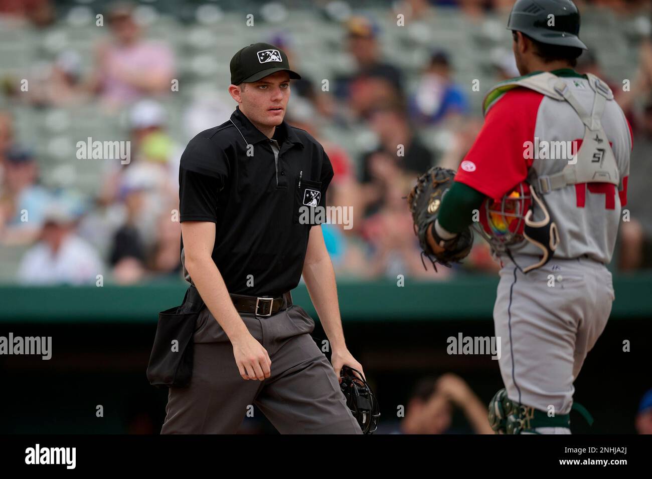 Umpire Nathan Diederich confirms a safe call with catcher Anthony Vilar ...