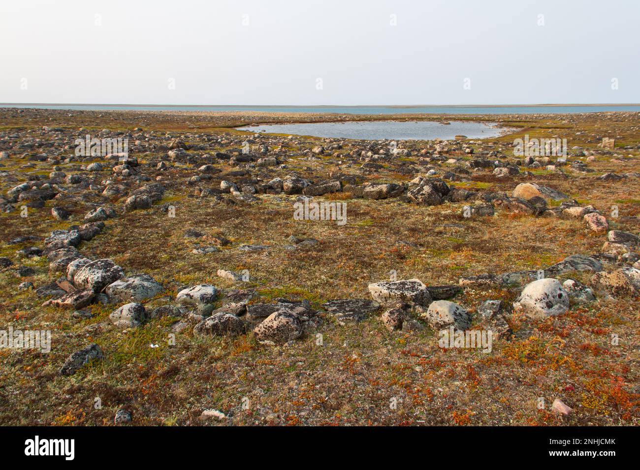 Remains of Inuit tent ring along the coast of Hudson Bay north of ...