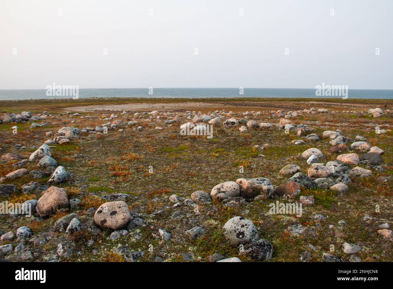 Remains of several Inuit tent rings along the coast of Hudson Bay north ...
