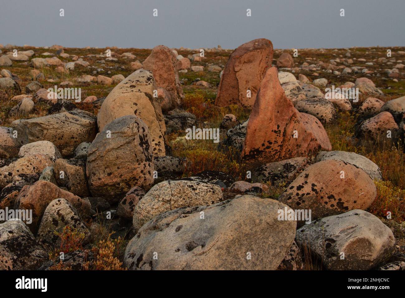 Remains of an old kayak stand along the coast of Hudson Bay north of ...