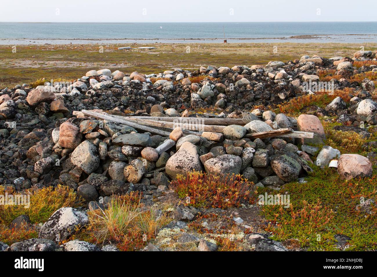 Remains of an Inuit food cache along the coast of Hudson Bay north of ...