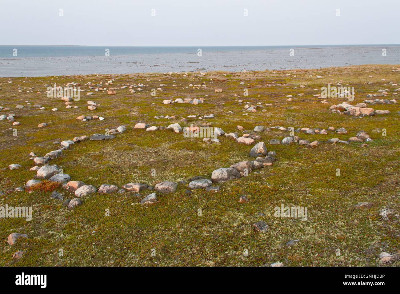 Remains of several Inuit tent rings along the coast of Hudson Bay north ...