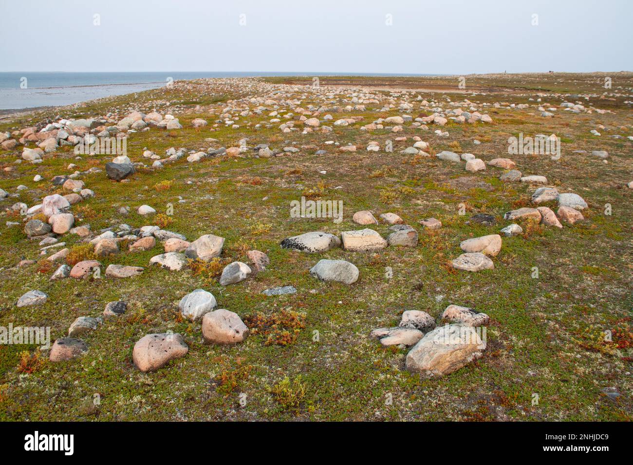 Remains of Inuit tent ring along the coast of Hudson Bay north of ...