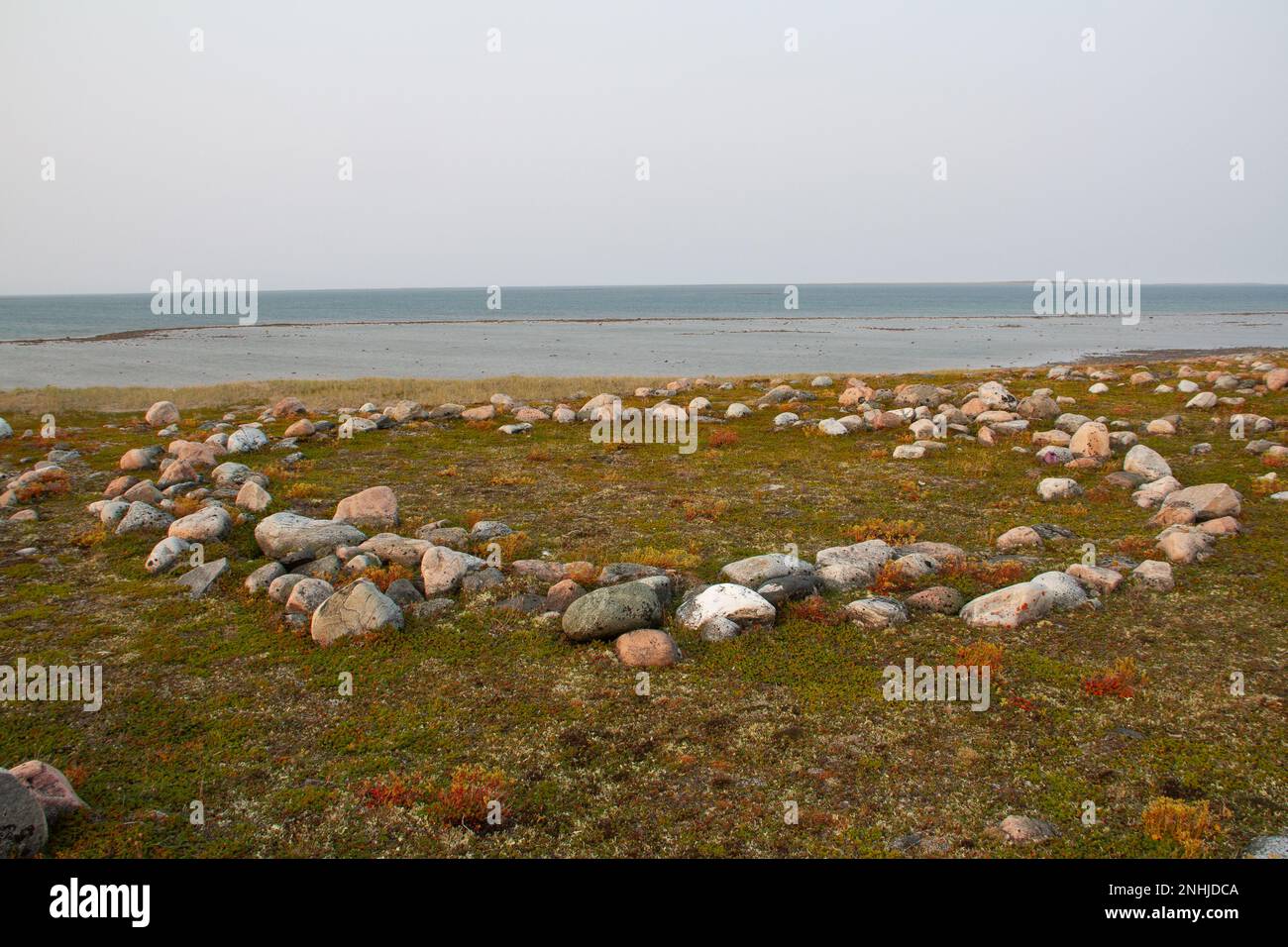 Remains of Inuit tent ring along the coast of Hudson Bay north of ...