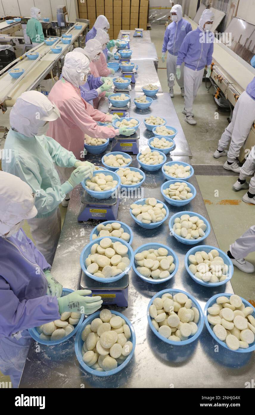 Workers of the Consumer Co-operative Kobe are busy making mochi, and ...