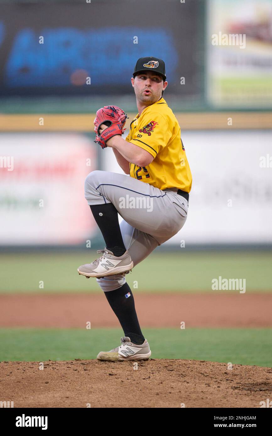 Los Perros Calientes pitcher Tanner Burns (29) during an Eastern League ...