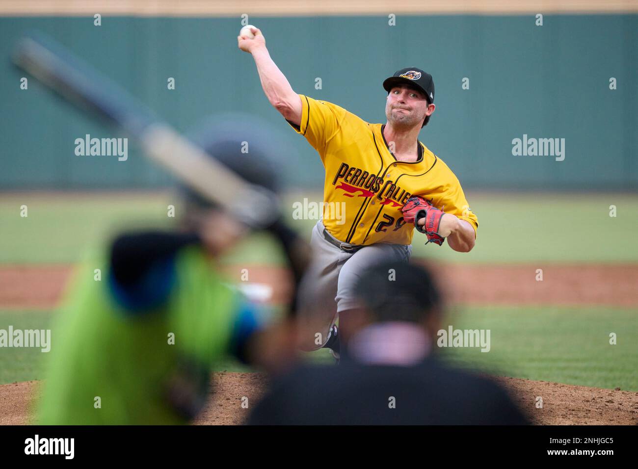 Los Perros Calientes pitcher Tanner Burns (29) during an Eastern League ...