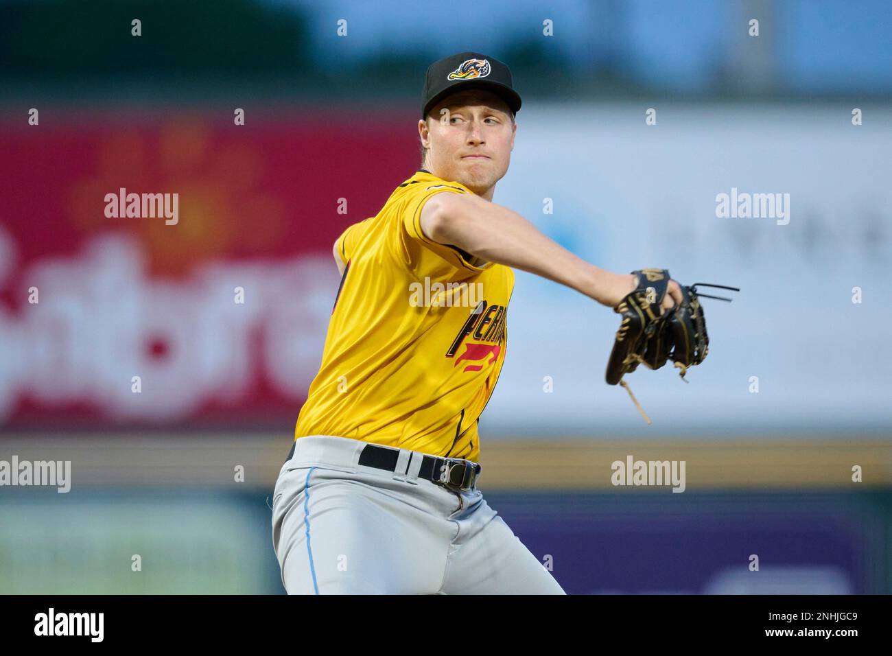Los Perros Calientes pitcher Tim Herrin (36) during an Eastern League ...