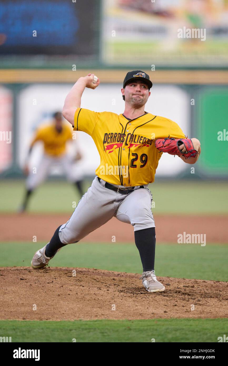 Los Perros Calientes pitcher Tanner Burns (29) during an Eastern League ...