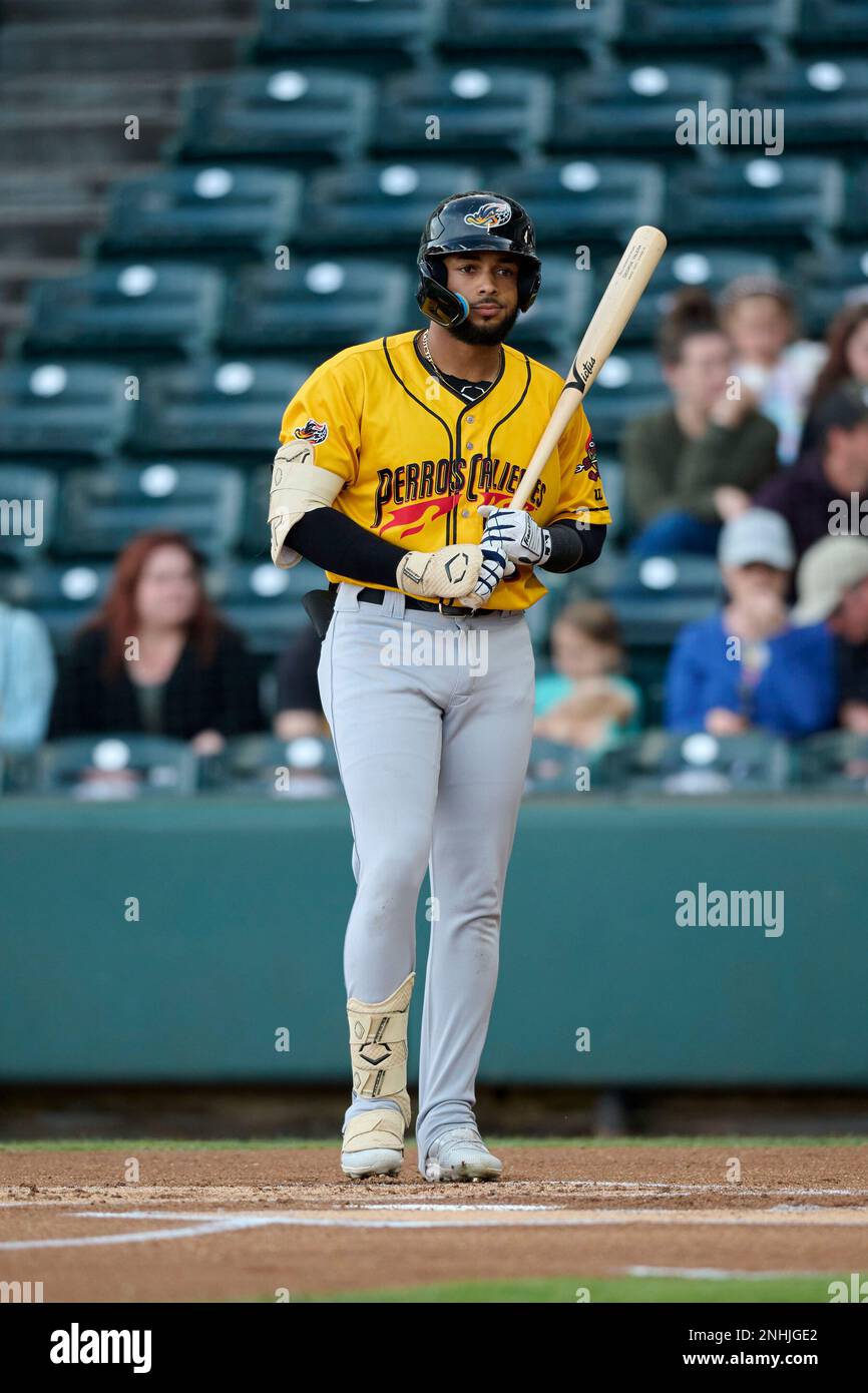 Los Perros Calientes George Valera (13) bats during an Eastern League ...