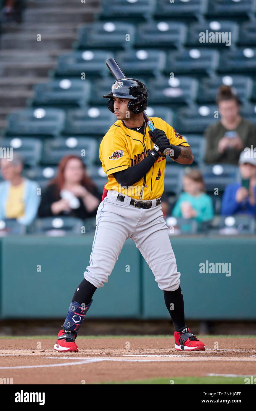 Los Perros Calientes Brayan Rocchio (4) bats during an Eastern League ...