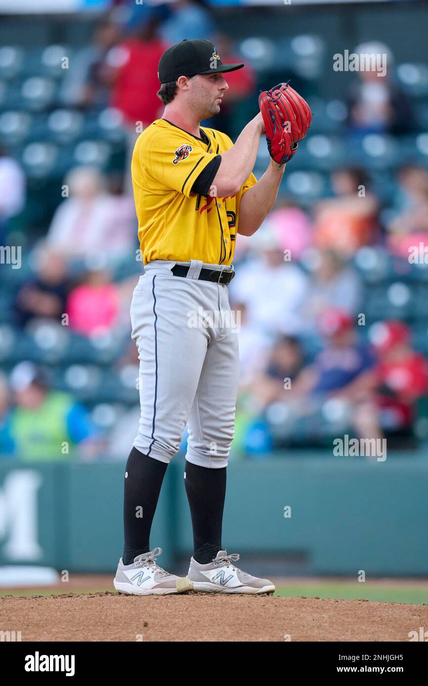 Los Perros Calientes pitcher Tanner Burns (29) during an Eastern League ...