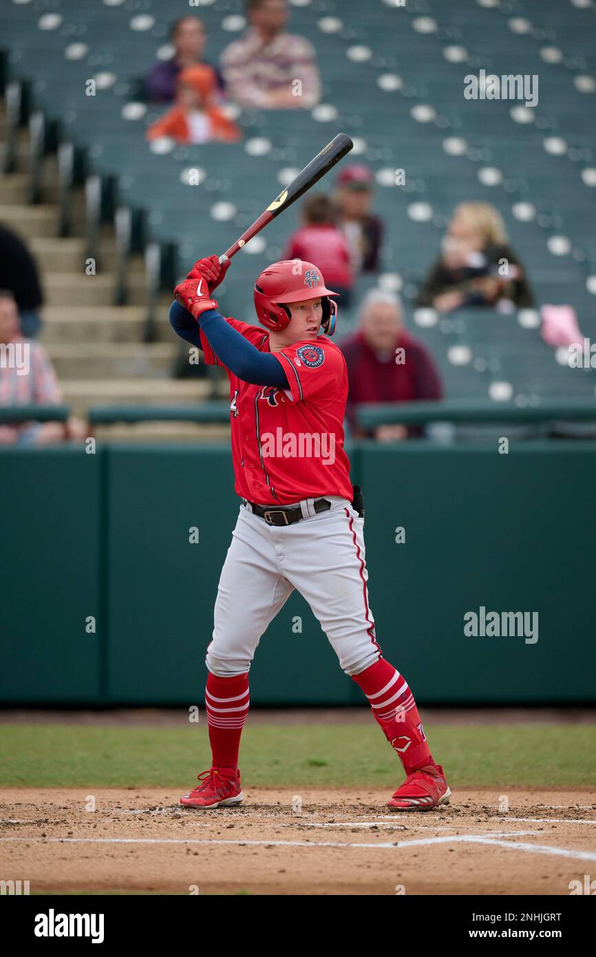 Harrisburg Senators Justin Connell (44) bats during an Eastern League ...