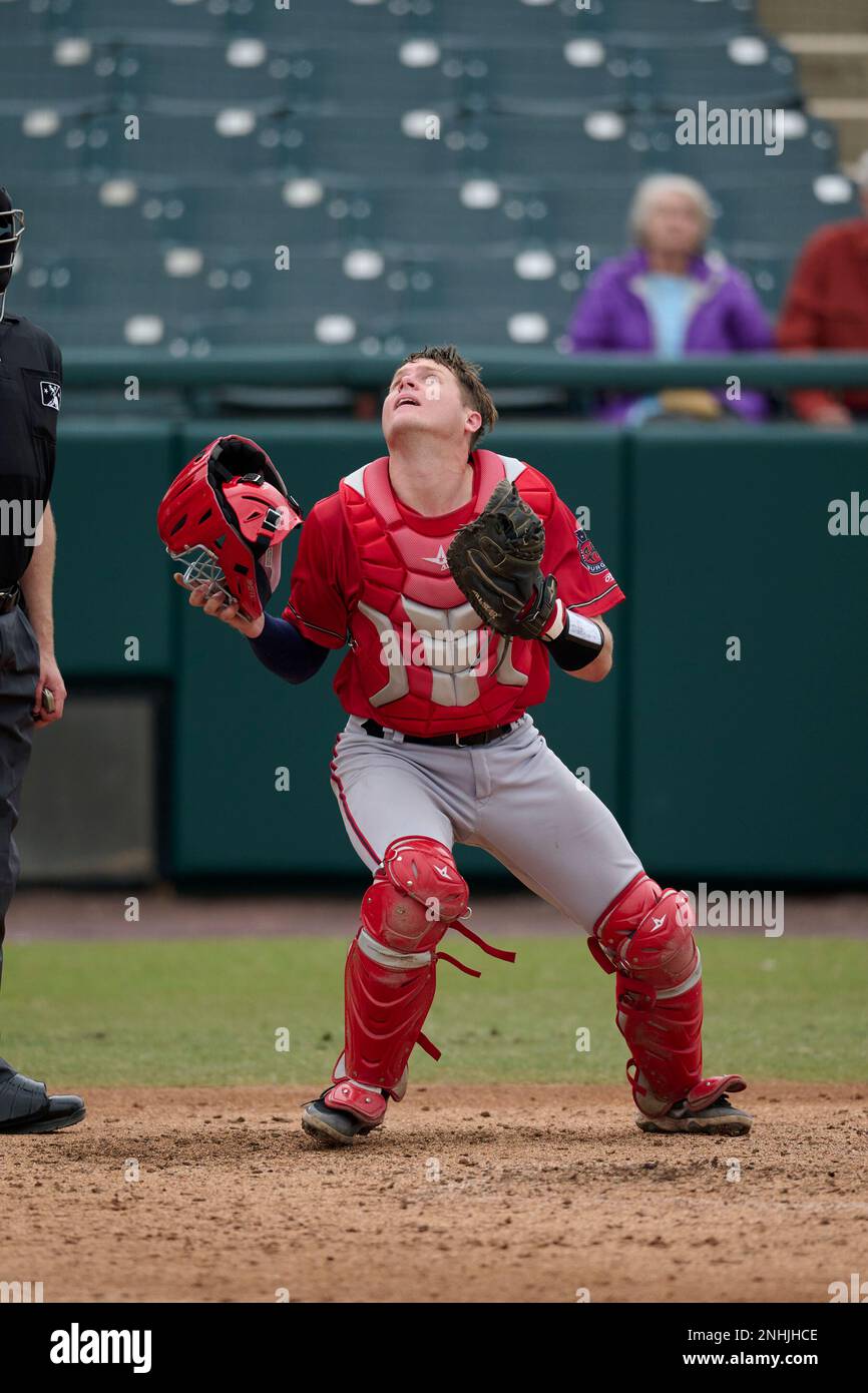Harrisburg Senators catcher Brady Lindsly (40) tracks a popup in foul ...