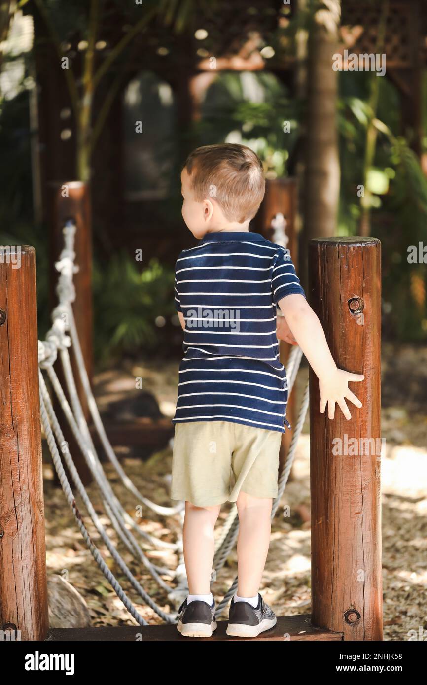 Preschool child playing on rope swing. Beautiful tropical kindergarten ...