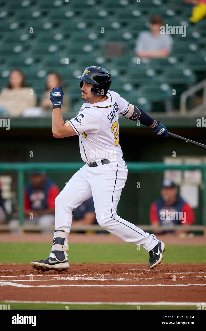 Montgomery Biscuits Austin Shenton (24) hits a triple during a Southern ...