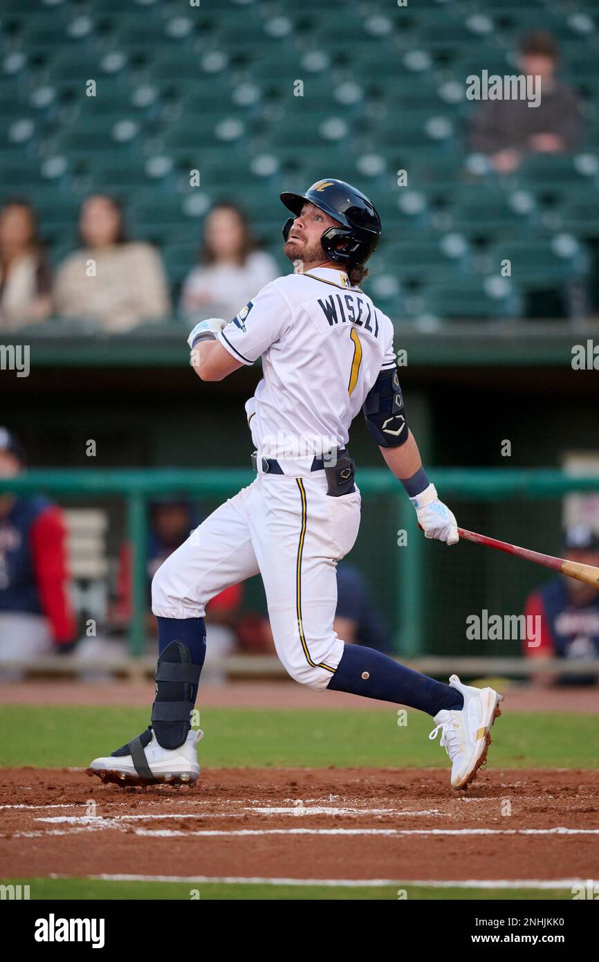 Montgomery Biscuits Brett Wisely (1) bats during a Southern League ...