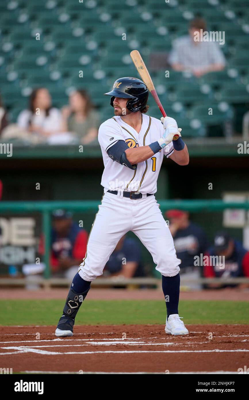 Montgomery Biscuits Brett Wisely (1) bats during a Southern League ...