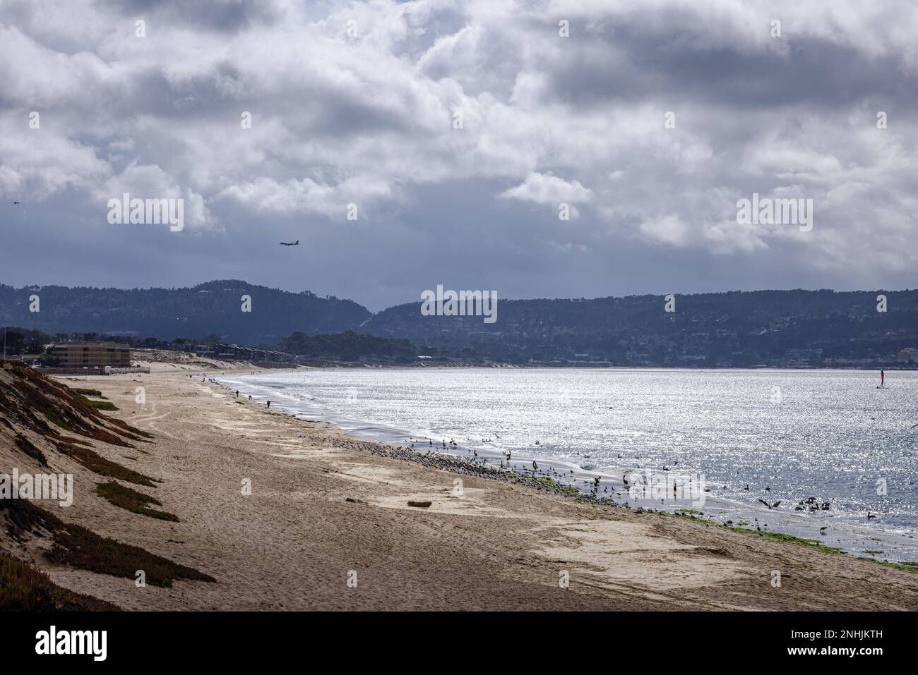 Del monte beach, monterey, ca hi-res stock photography and images - Alamy