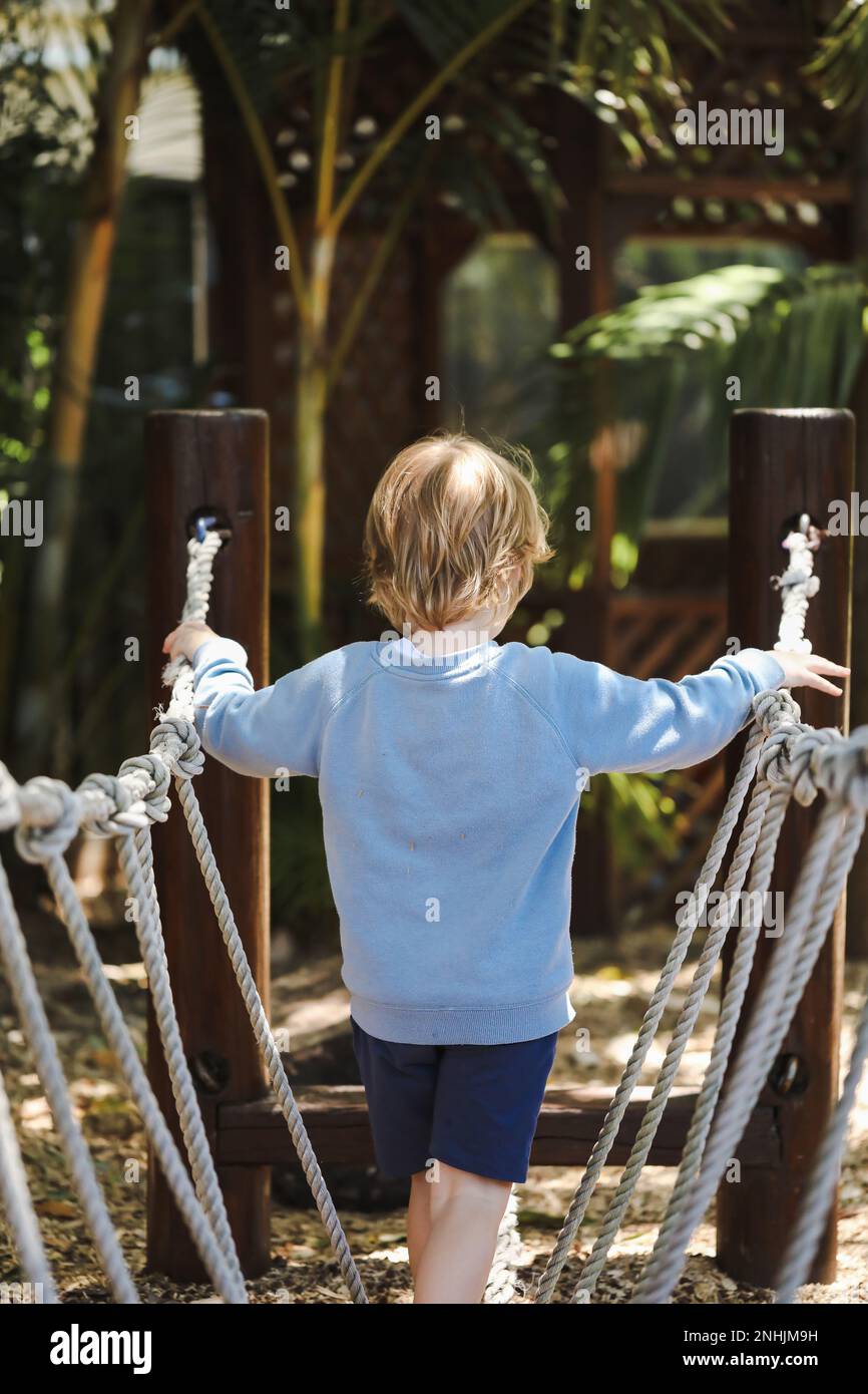 Preschool child playing on rope swing. Beautiful tropical kindergarten ...
