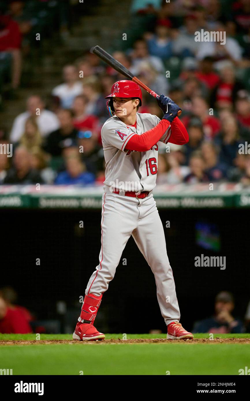 Los Angeles Angels Mickey Moniak (16) bats during an MLB baseball game ...