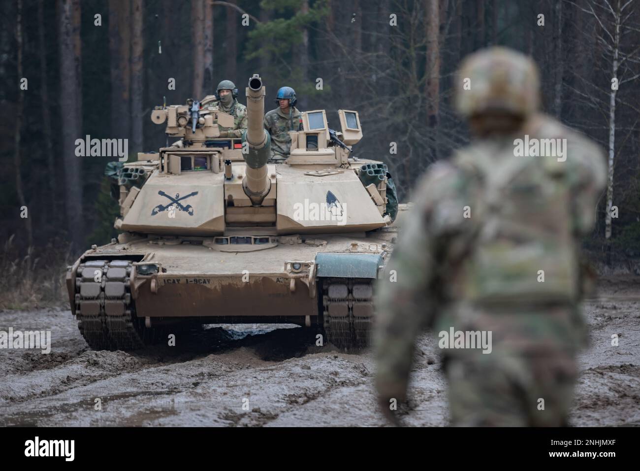A U.S. Soldier assigned to 1st Battalion, 9th Cavalry Regiment, 2nd ...