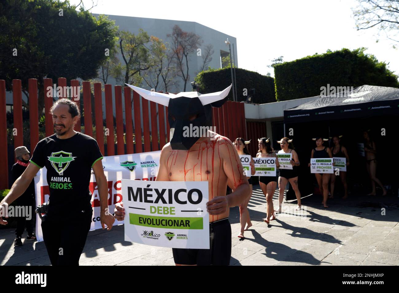 Bulls chamber hi-res stock photography and images - Alamy