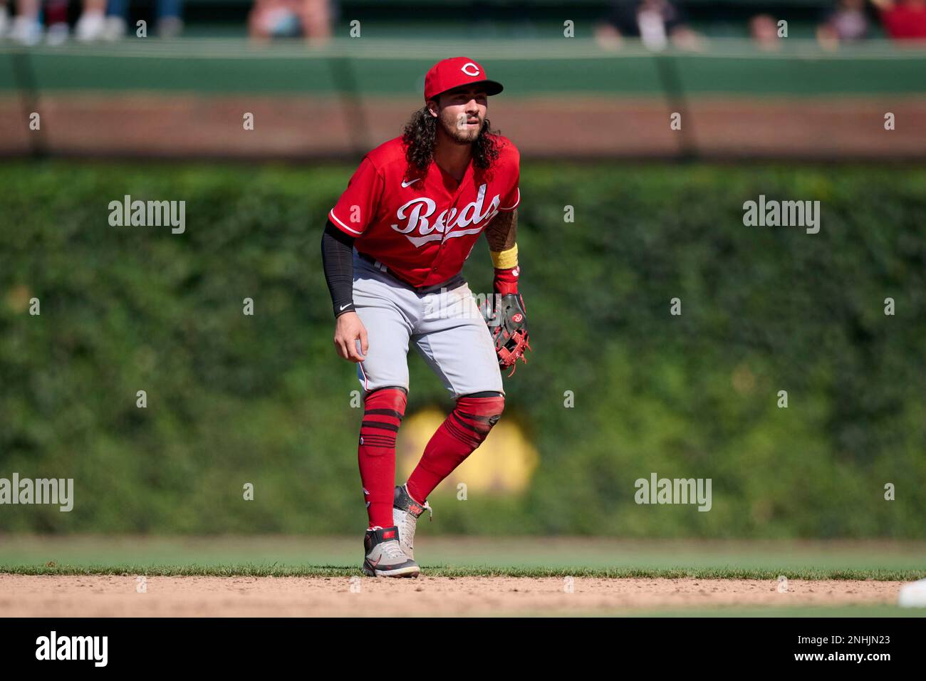 Cincinnati Reds second baseman Jonathan India (6) during a Major League ...