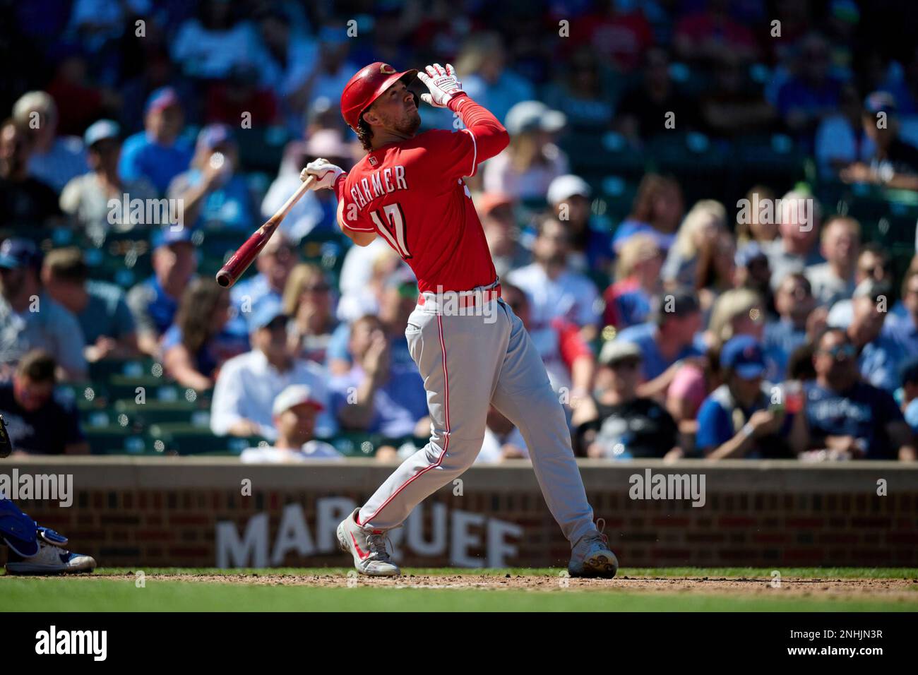 Cincinnati Reds Kyle Farmer (17) bats during a Major League Baseball ...