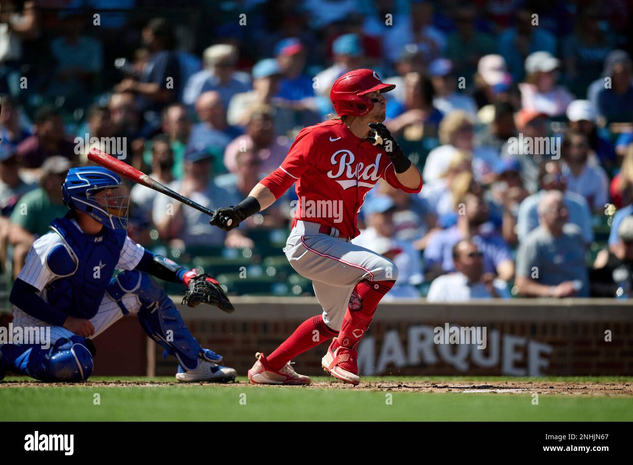 Cincinnati Reds TJ Friedl (29) bats during a Major League Baseball game ...