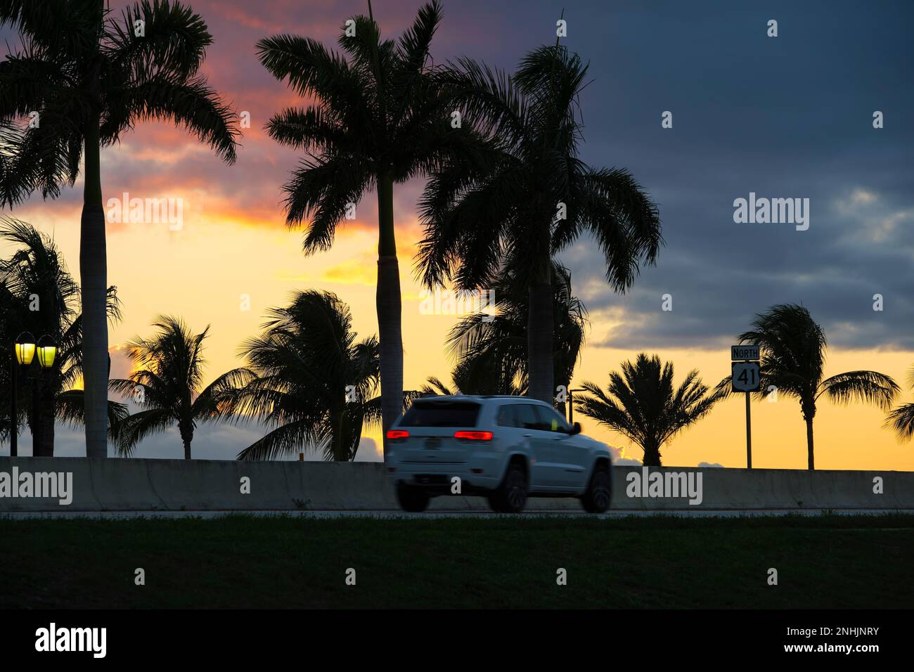 Dark palm trees against sunset sky and driving car on seaside street on ...