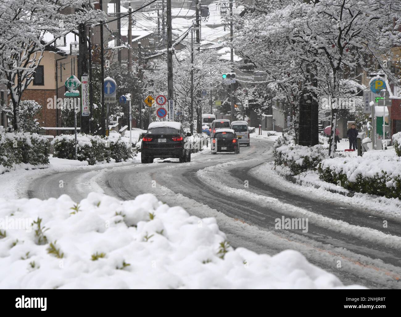 The white snow covers the ground in Nagoya City, Aichi Prefecture on ...