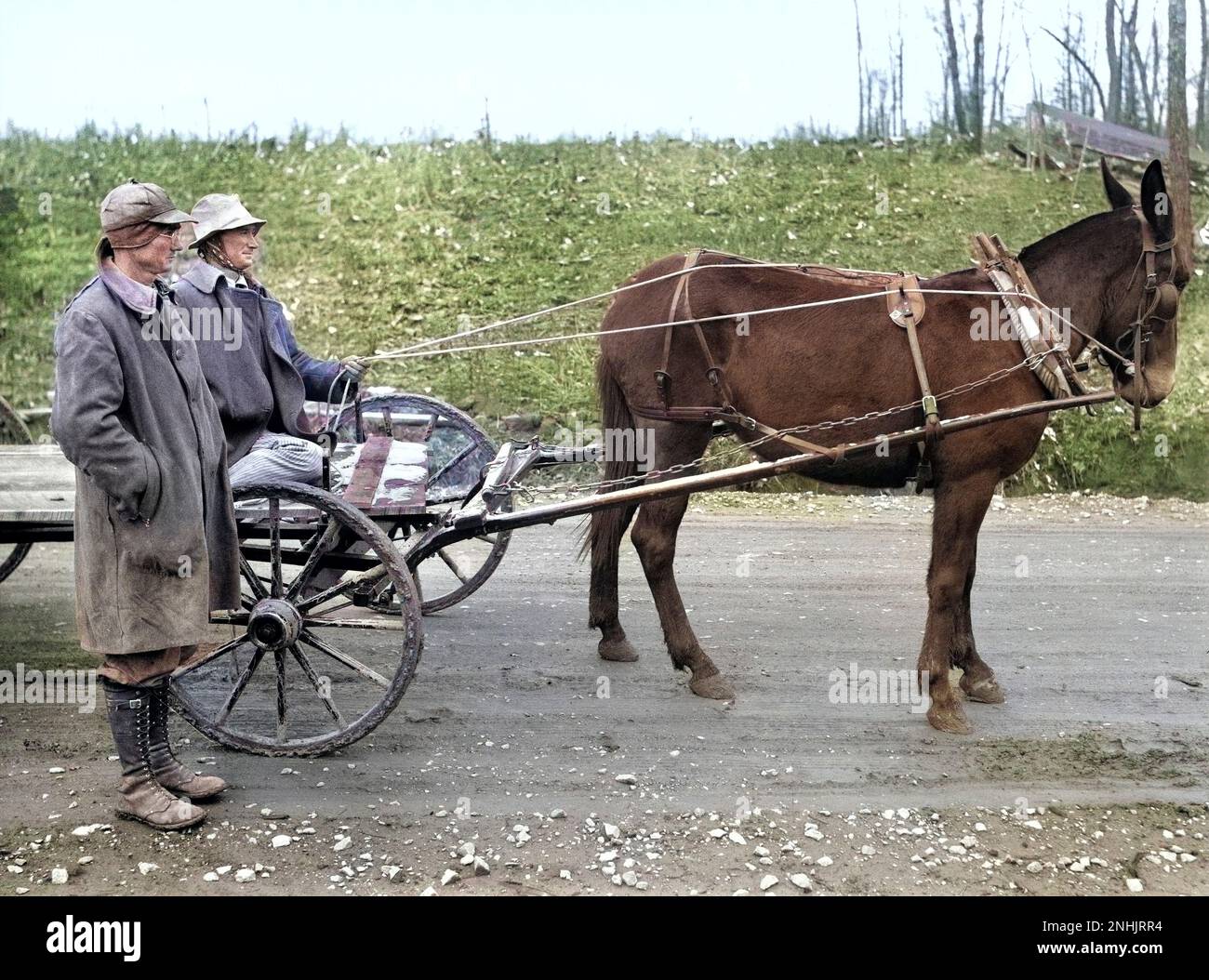 Two Farmers with Mule-Drawn Wagon, Skyline Farms, Jackson County ...