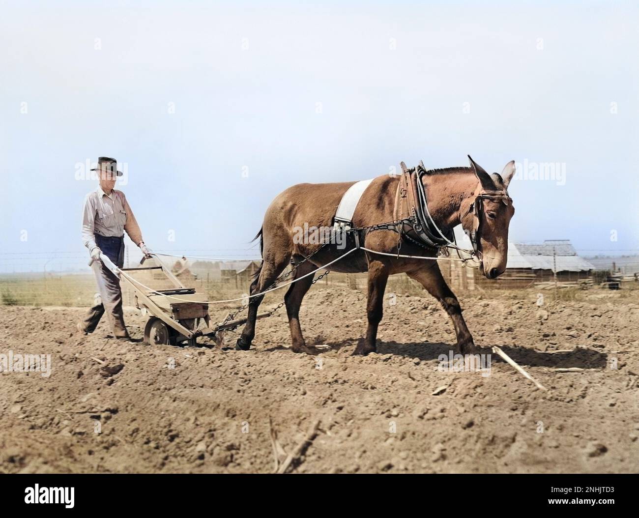 Farmer plowing Field, Coffee County, Alabama, USA, Marion Post Wolcott ...