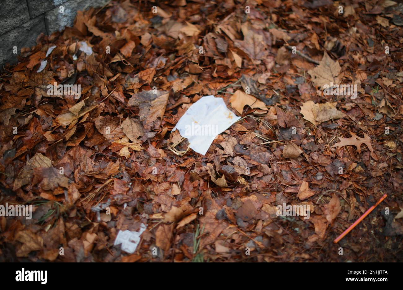 Trash in public street showing littering dumped not recycled Stock ...