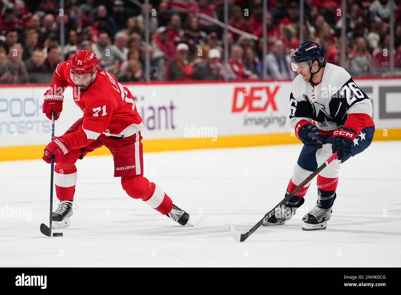Detroit Red Wings center Dylan Larkin (71) skates with the puck against ...