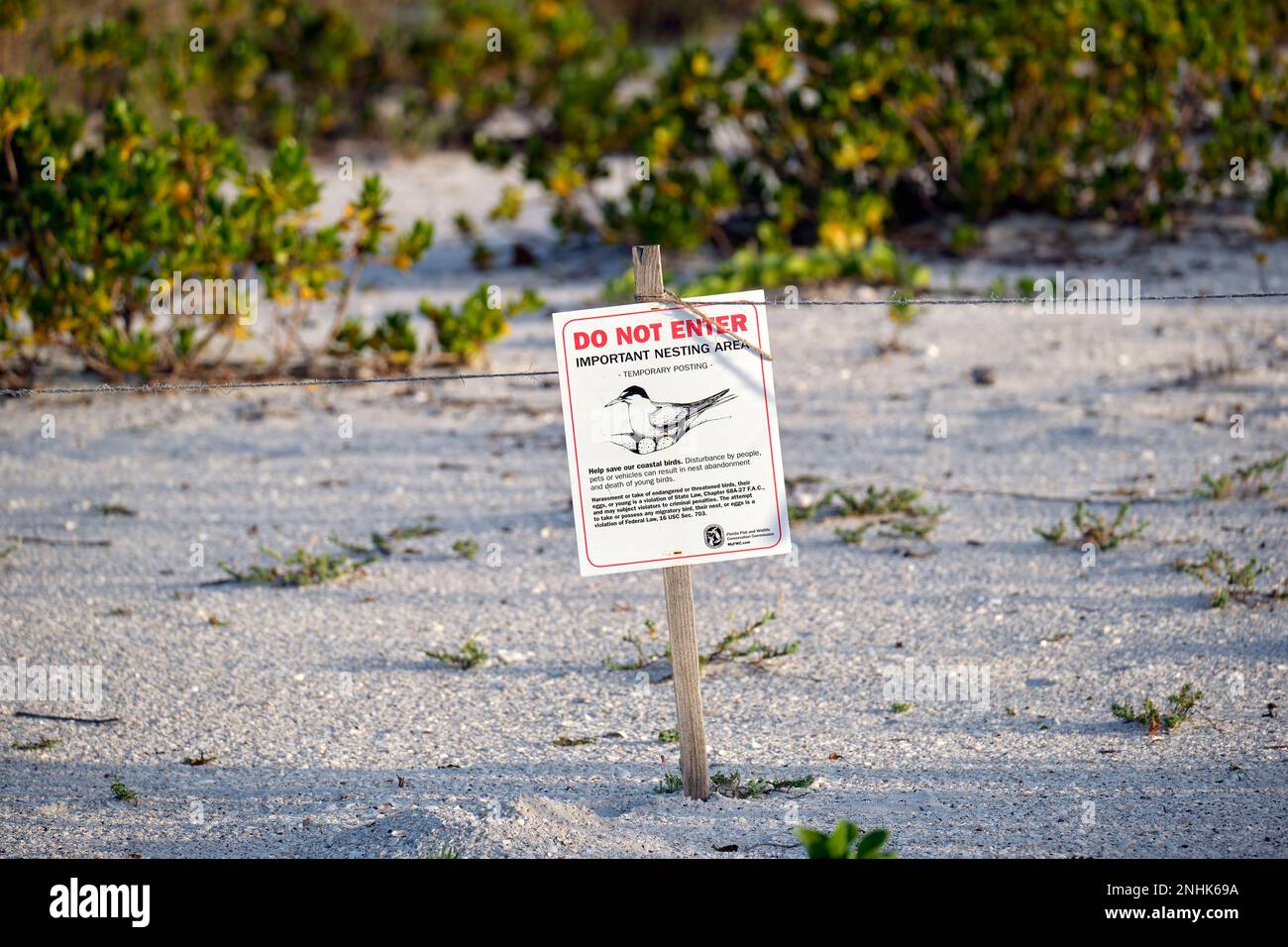 Signboard with warning about nesting area of sea birds on seaside beach ...